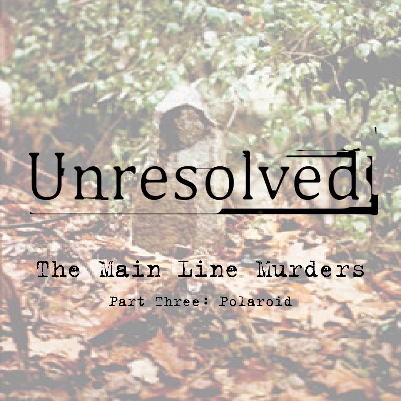 The Main Line Murders (Part Three: Polaroid) — Unresolved