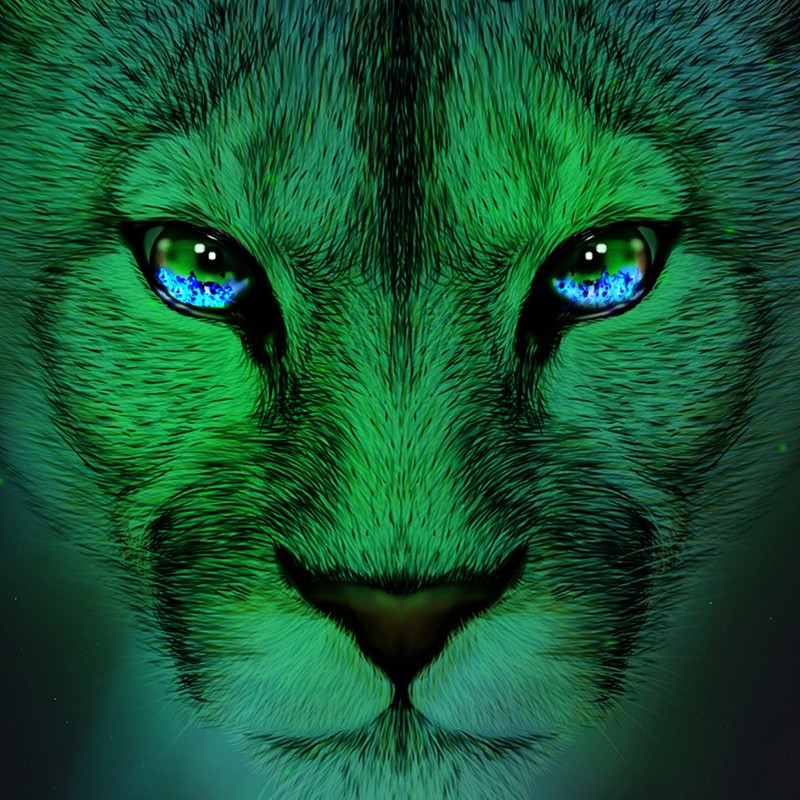 Mark Combs Author » DEBORAH HALL – ZELLA: CURSES & CONQUERORS