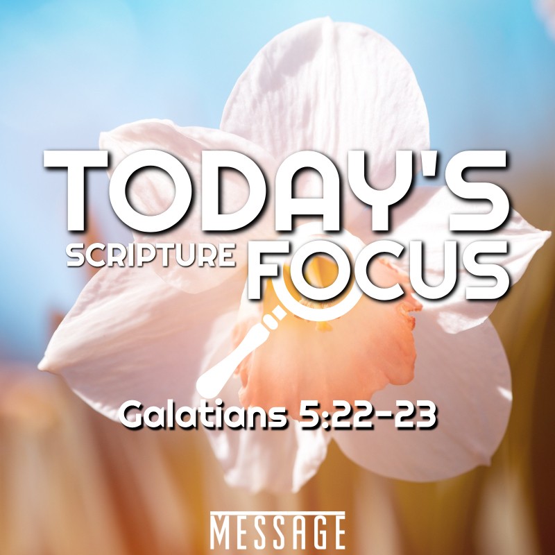 Exiting Excess - Message Magazine