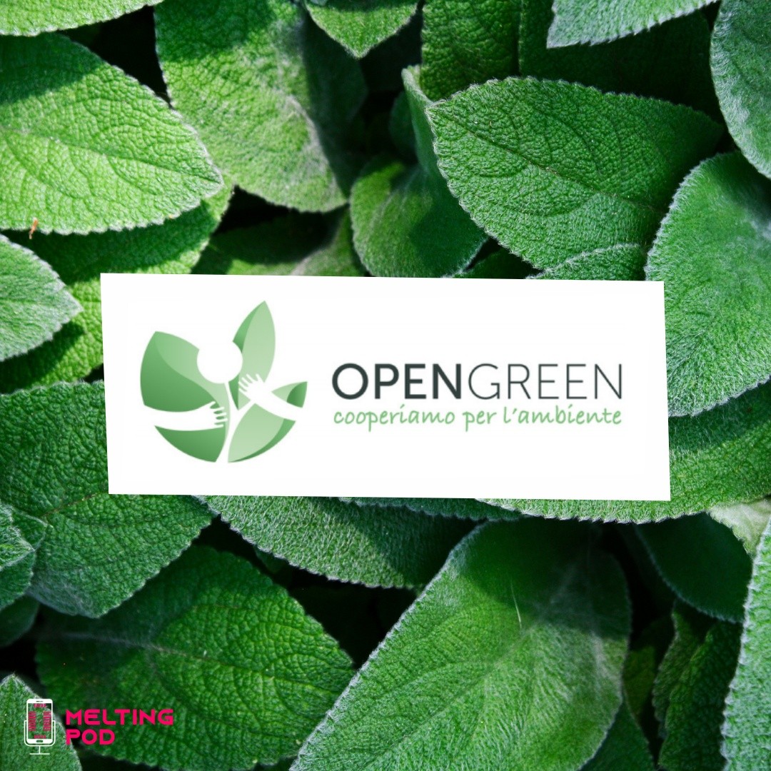 Open Green cooperiamo per l'ambiente|Buone pratiche per la sostenibilità