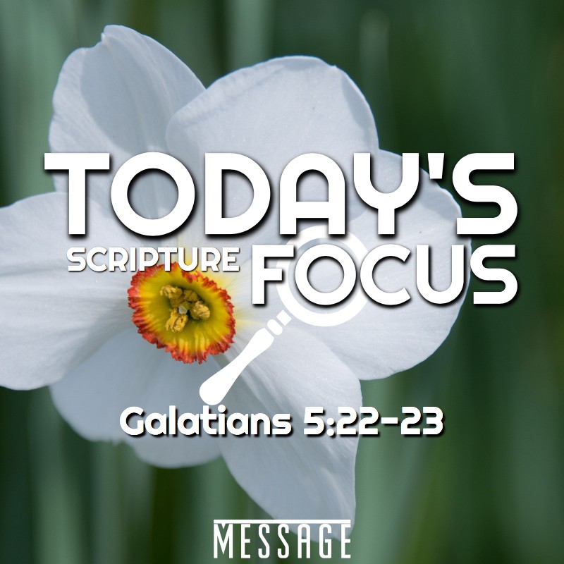 Prevailing Meekness - Message Magazine