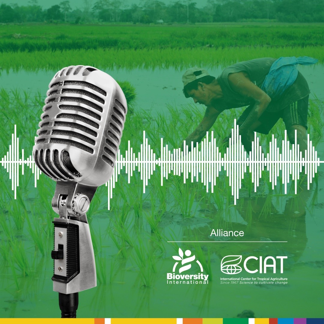 Alliance Podcasts: Connecting farmers, scientists