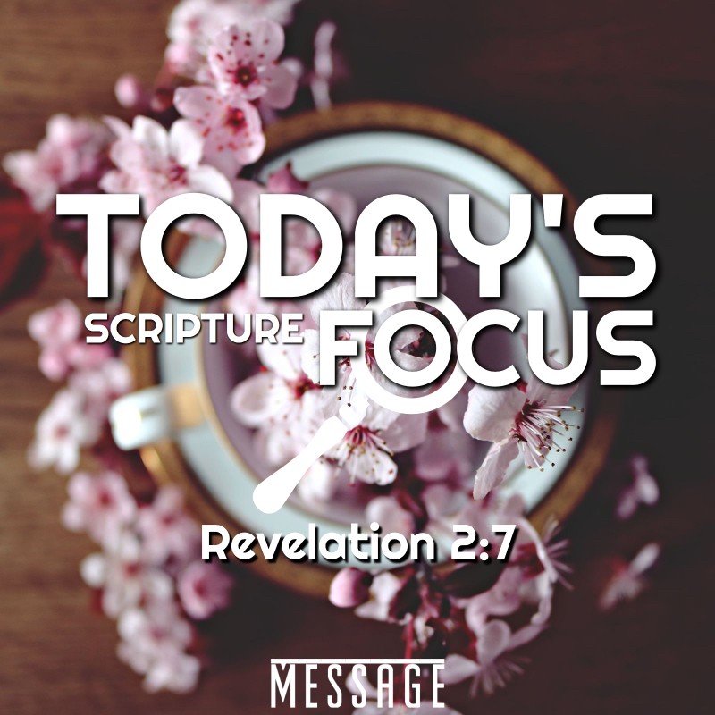 The Overcomer's Diet - Message Magazine