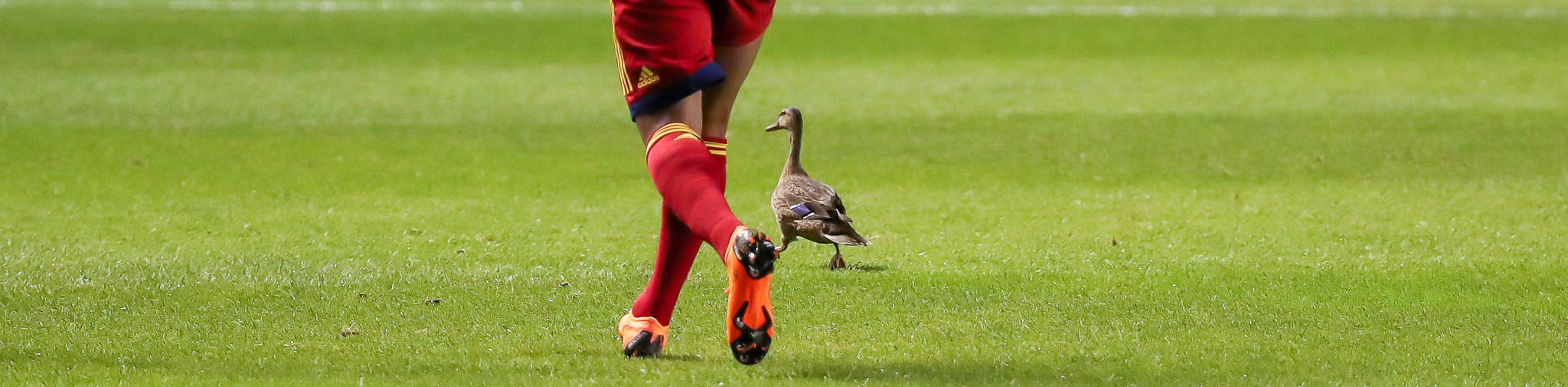 The Nightcap With Brian Dunseth 9/1/18 | Real Salt Lake