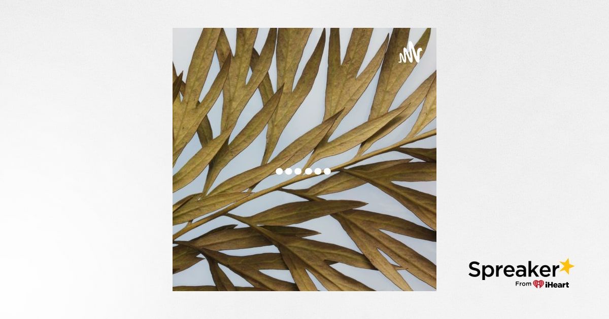 503.解决婆媳掉水里，先救谁的终极办法来了~@开心主播YOYO