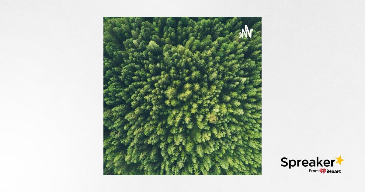 508.成年人的脆弱- 一句话就--泪流满面--【爱琳栖语】