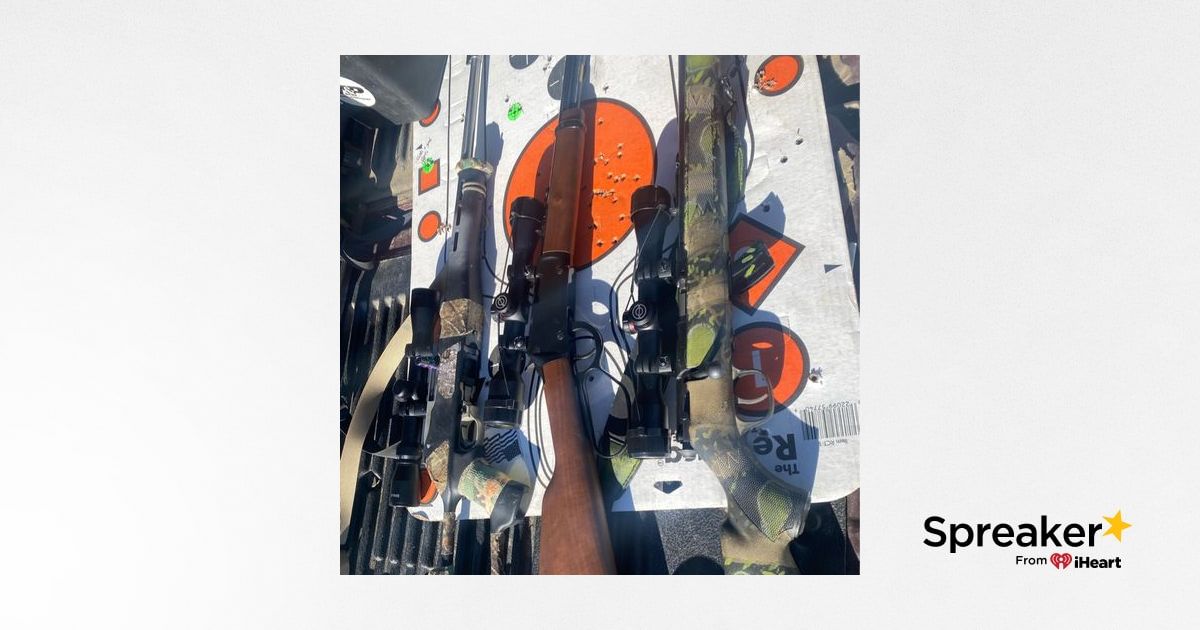 Cheap Guns I Like - Affordable Firepower Rifles Pistols Shotguns ...