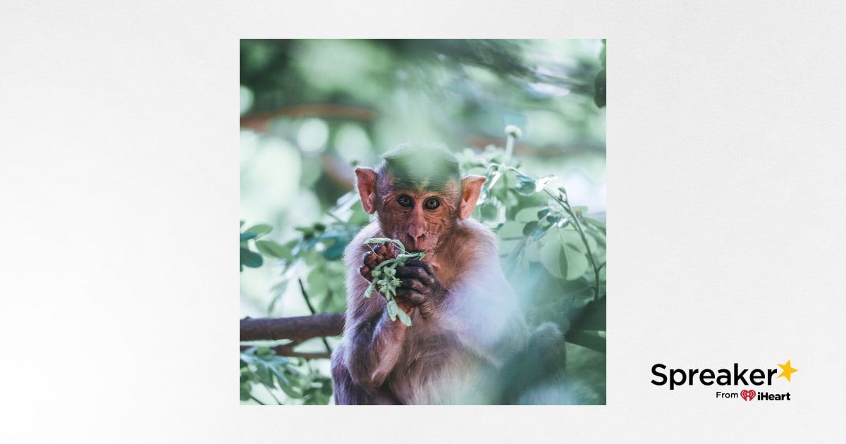 Scary Sibs: F the Flying Monkeys, Episode 25