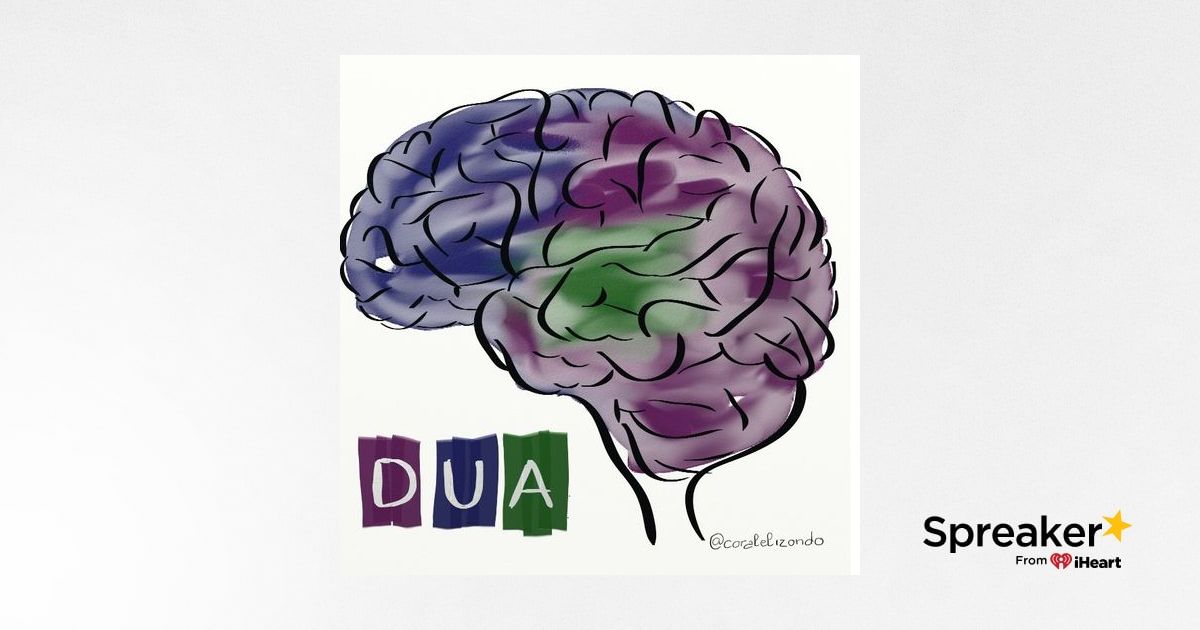 Conceptos básicos del DUA