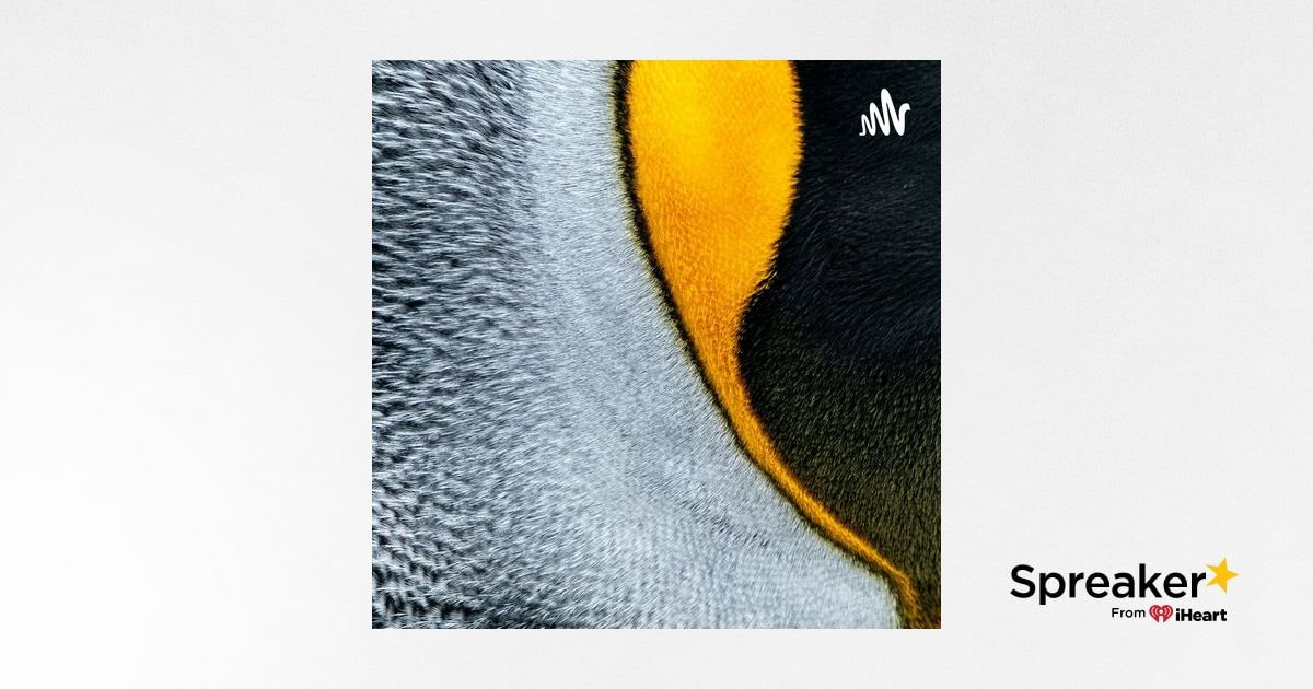 1101.主播林静：爱我之前，先尝尝我的缺点