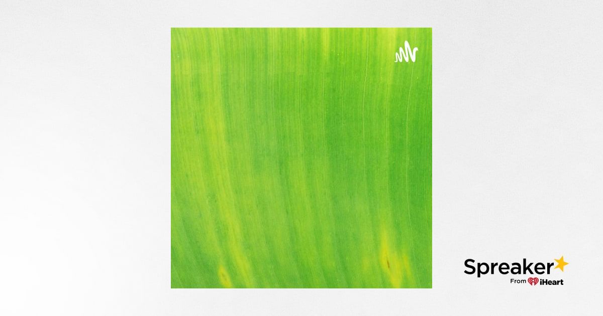 478十二时辰对应脏腑养生法则（四）