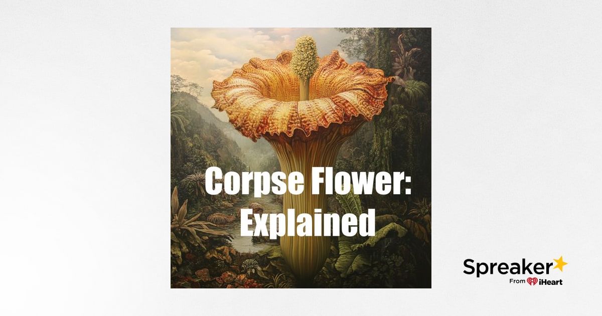 Corpse Flower: Explained
