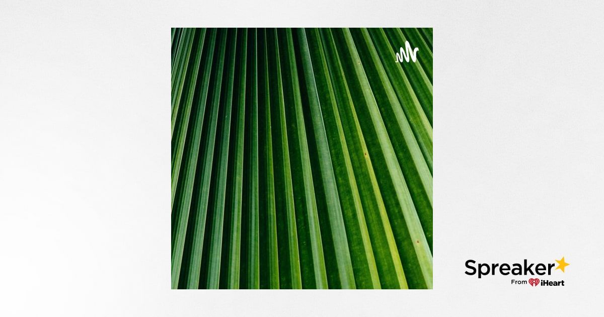 294.关美利：《源上牡丹红》主题歌