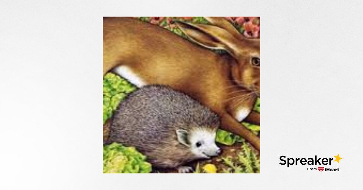 Cuento “La liebre y el erizo”