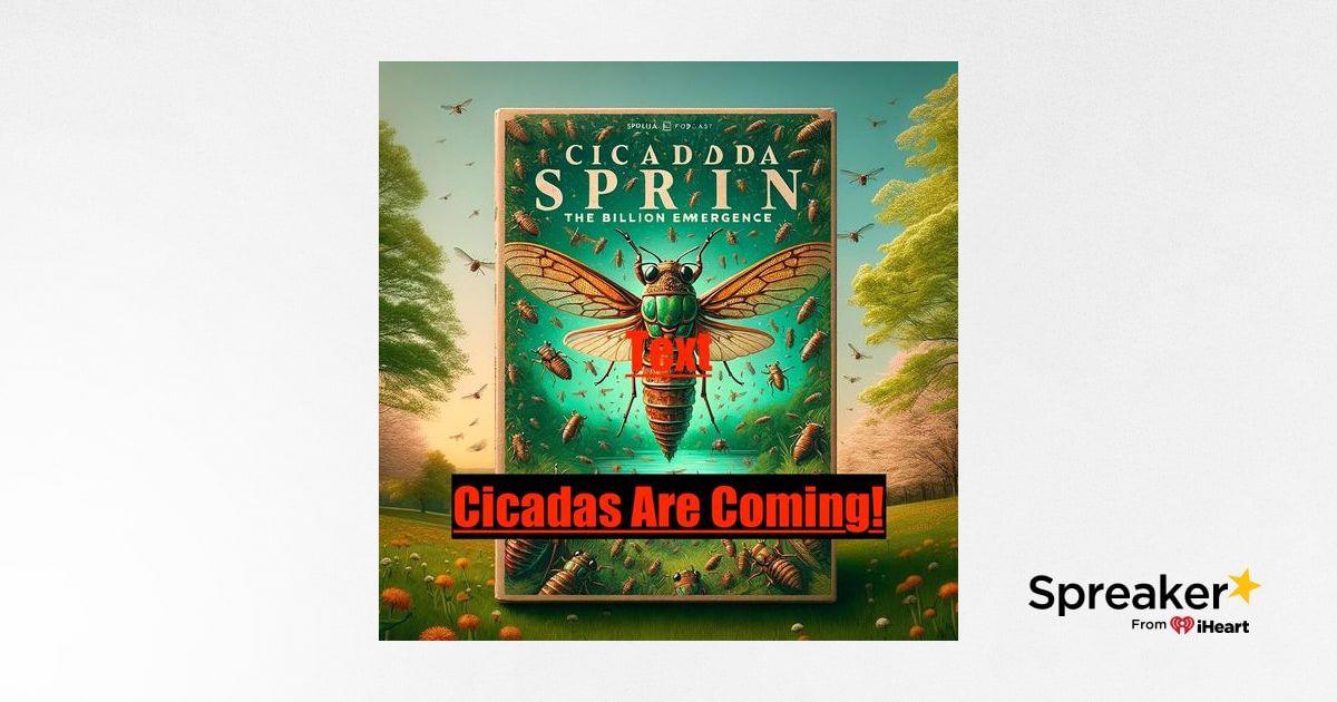 Cicadas Are Coming!