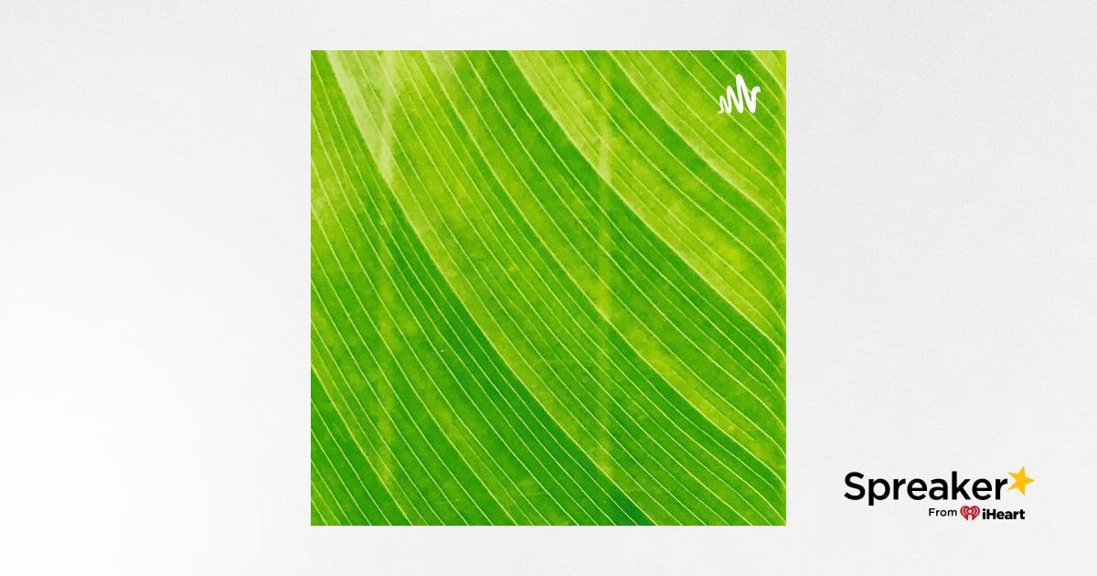 3095.成年人最大的自律，就是克制自己去纠正别人的欲望