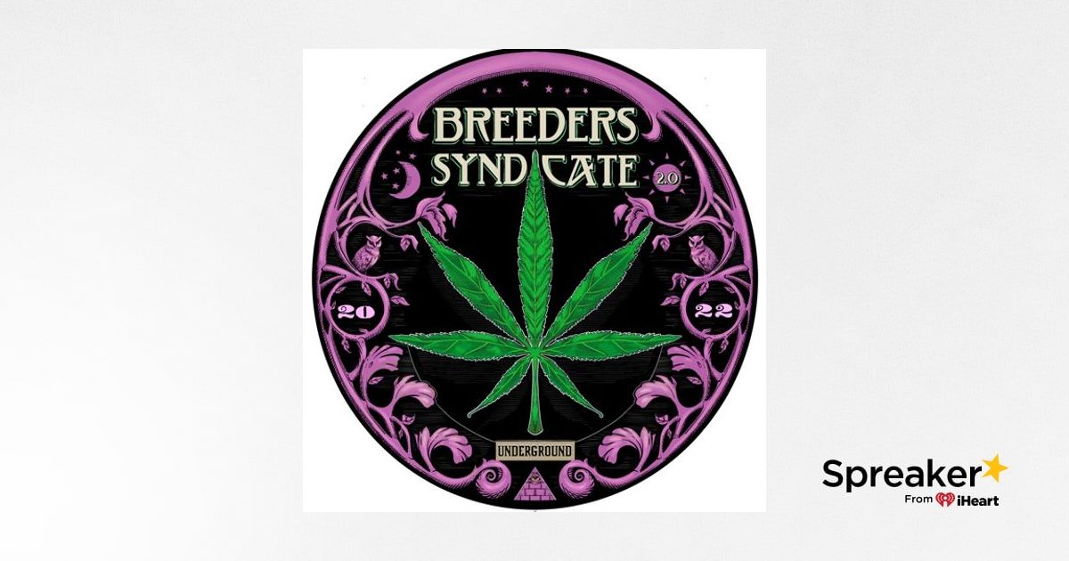 The Cannabible by Jason King Book 3 Review with Bodhi & Nspecta CSI ...