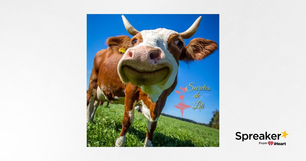 La culpa_es_de la vaca_para_mujeres