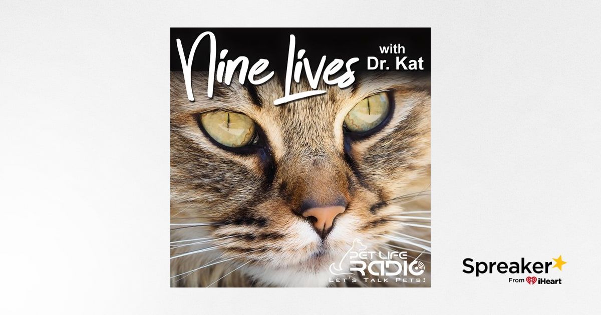 Nine Lives with Dr. Kat - Cat podcasts for cat lovers - Pet Life Radio ...