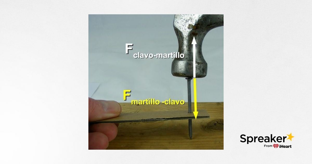 ¿Toda acción tiene una reacción?