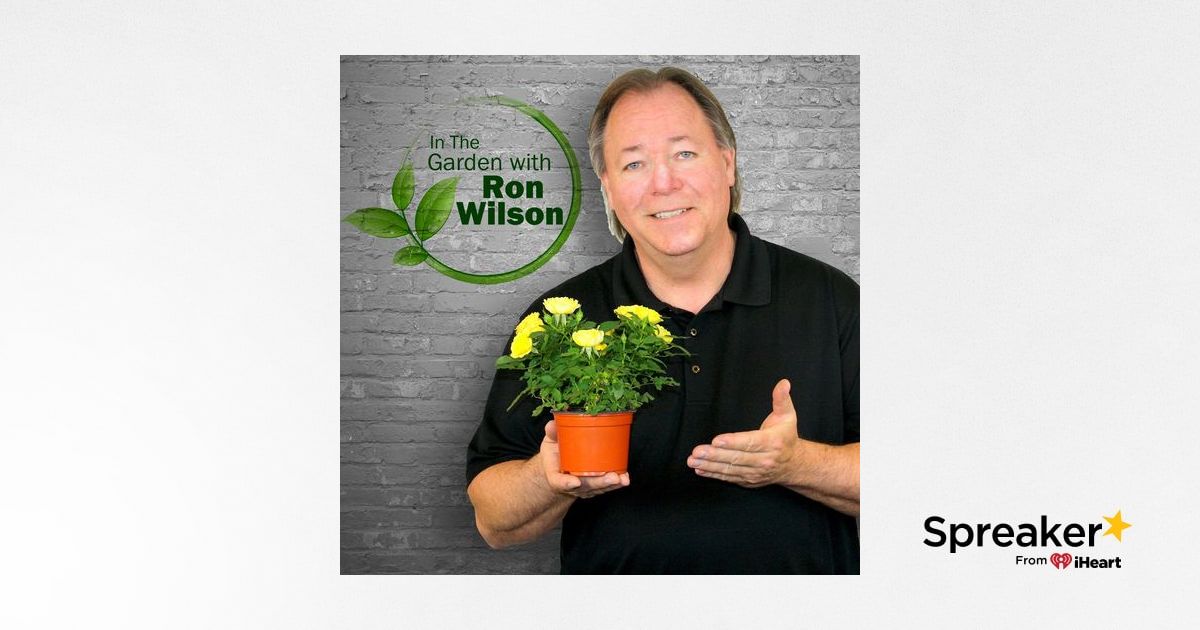 Do you need to re-pot your plants?