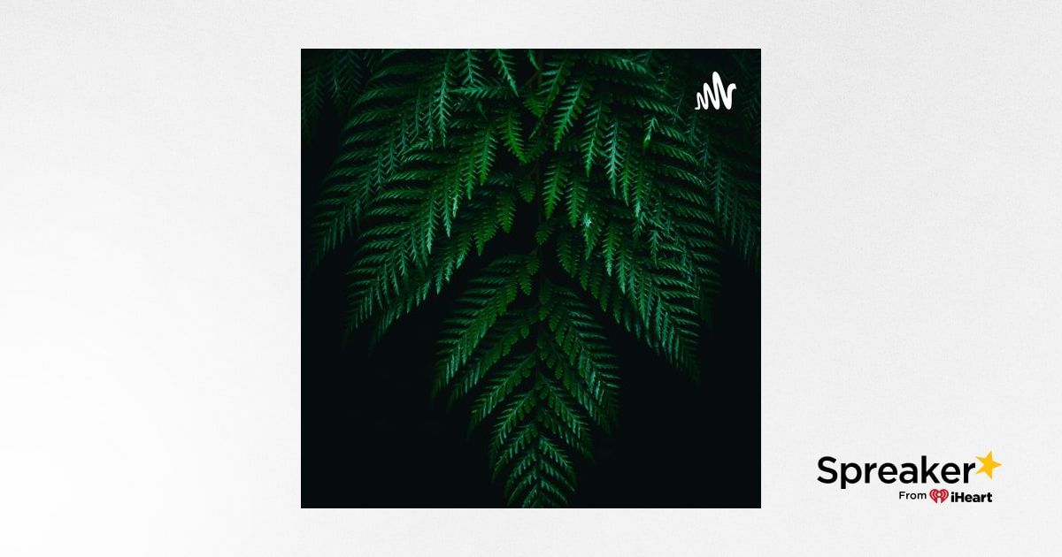 6377.金星定居巴黎！参加当地富豪聚会，换发型剪头发，却意外撞脸成龙