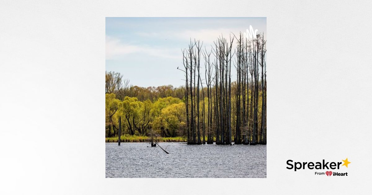 256.【国内】2022年全国市场监管部门受理消费者投诉1310.38万件！