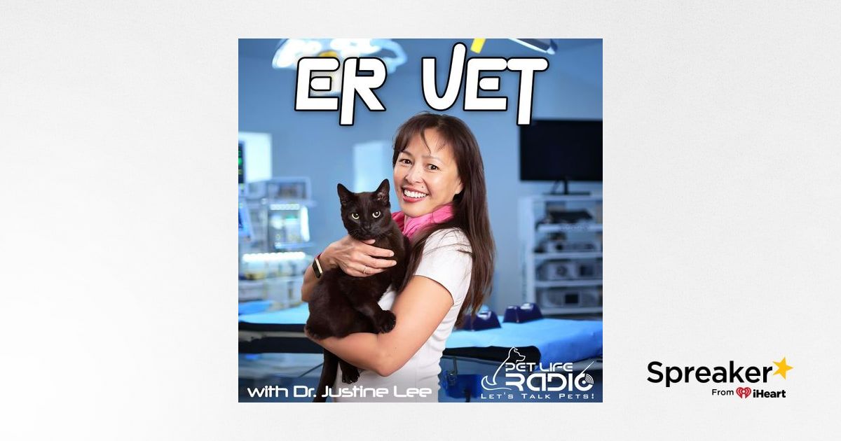 ER Vet - Stories from the animal ER - Pet Life Radio Original ...