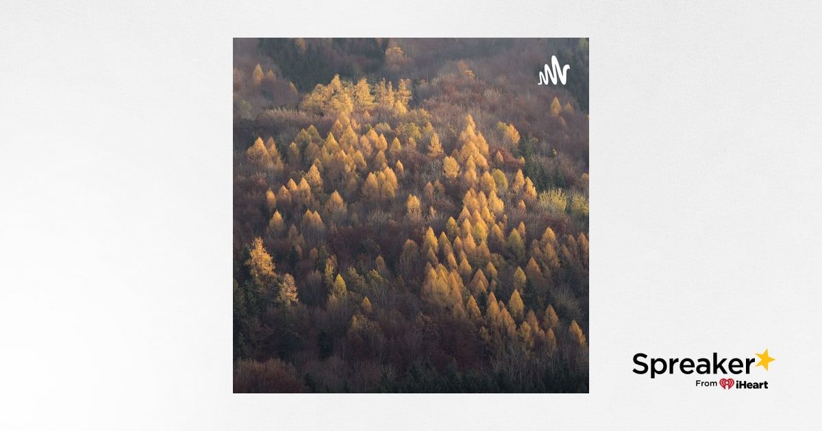 608.【晓月作文屋】吴霖点评《假如我有一双翅膀》3年级王韦辰