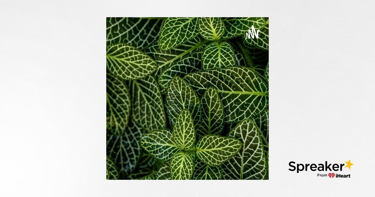 708. 互联网恐受英国脱欧连累 资金大逃离已经上演