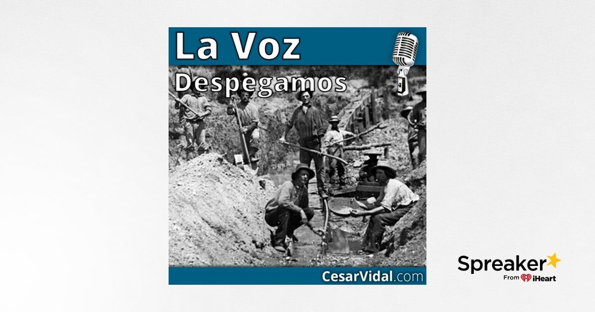 Despegamos: Vuelve la fiebre del oro ¿hasta dónde llegará el precio de ...