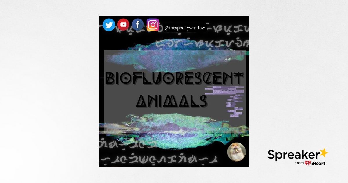 Episode 14 - Bioflourescent Animals