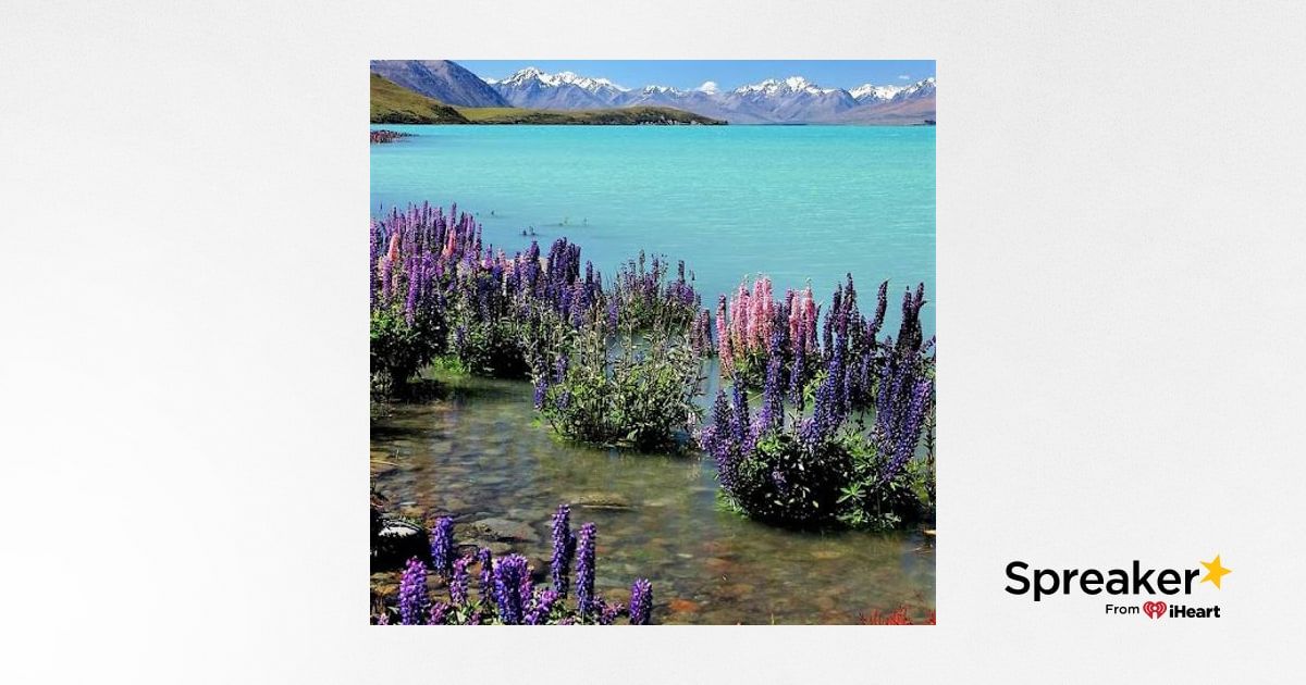 THE-FAITH-PROJECT....