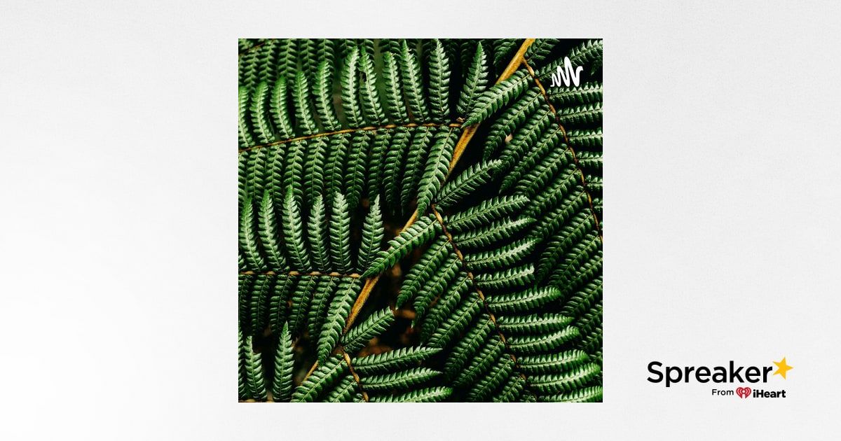 1771.习近平向“中国+中亚五国”产业与投资合作论坛致贺信