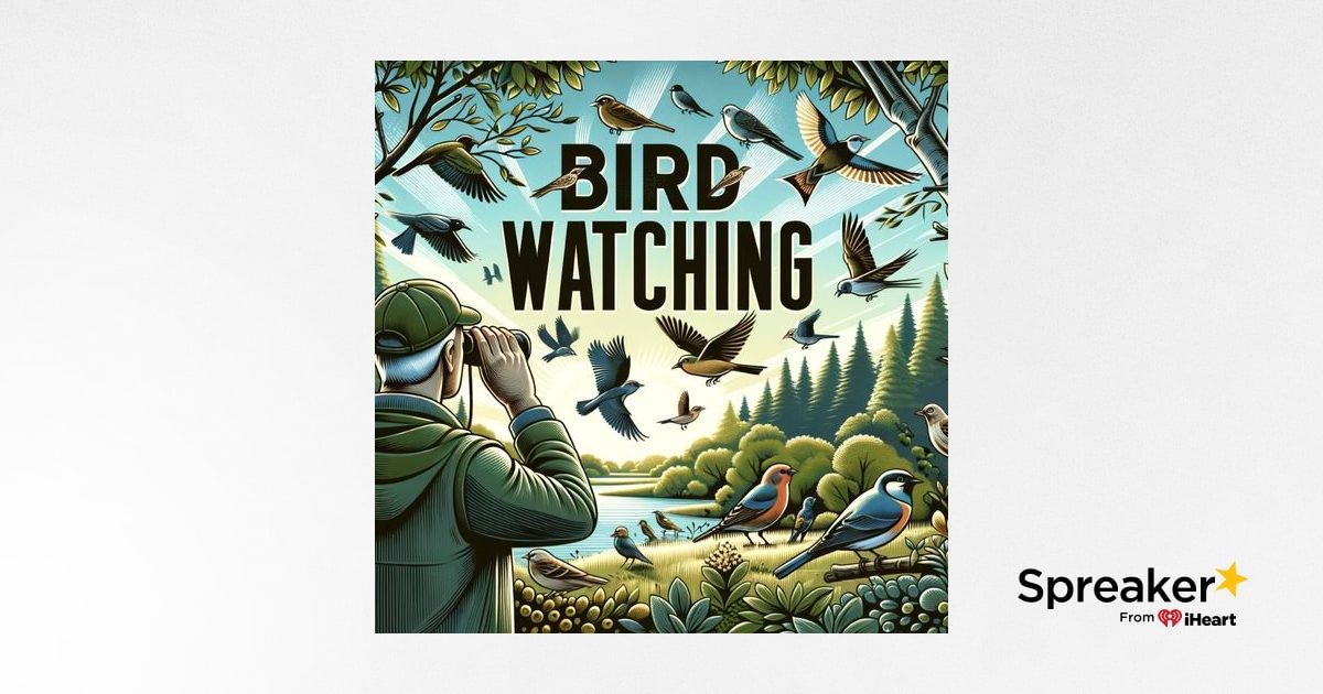 Beginner's Guide to Bird Watching -Discovering Nature's Winged Wonders