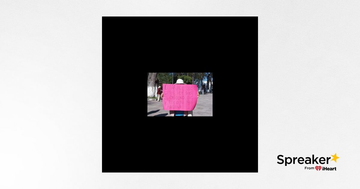 OSC DENUNCIAN ECOCIDIO Y EXIGEN CANCELAR “CIUDAD DE LA JUVENTUD” EN ...