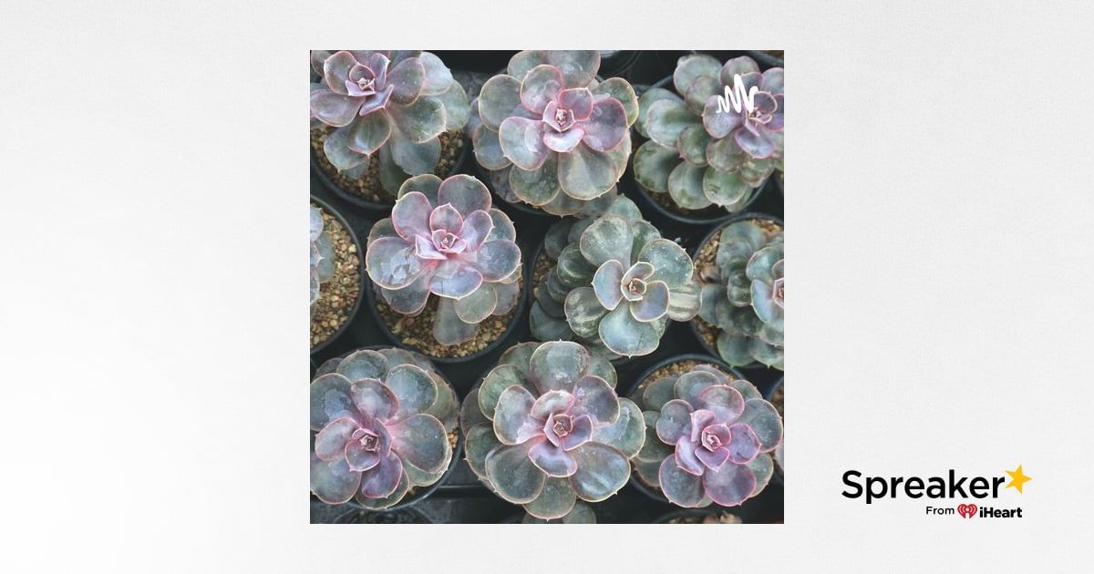 813.心灵一刻847丨和机器人过性生活的可行性报告