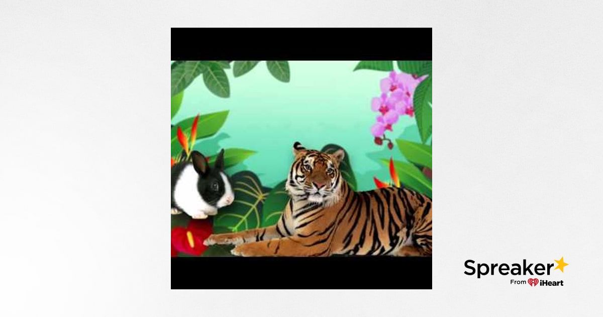 131 Audiocuento El Tigre Y El Conejo Cuento Infantil