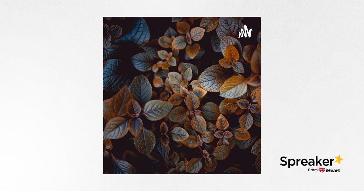 388.晓月作文屋：陈张 琦点评《百趣新春图》3年级