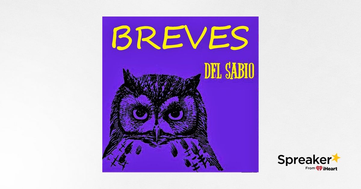 Breves del Sabio: Samurái, una historia de dignidad