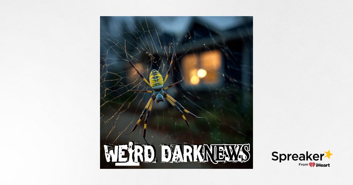 Giant Flying Spiders Are Quietly Spreading Across America — And They're ...