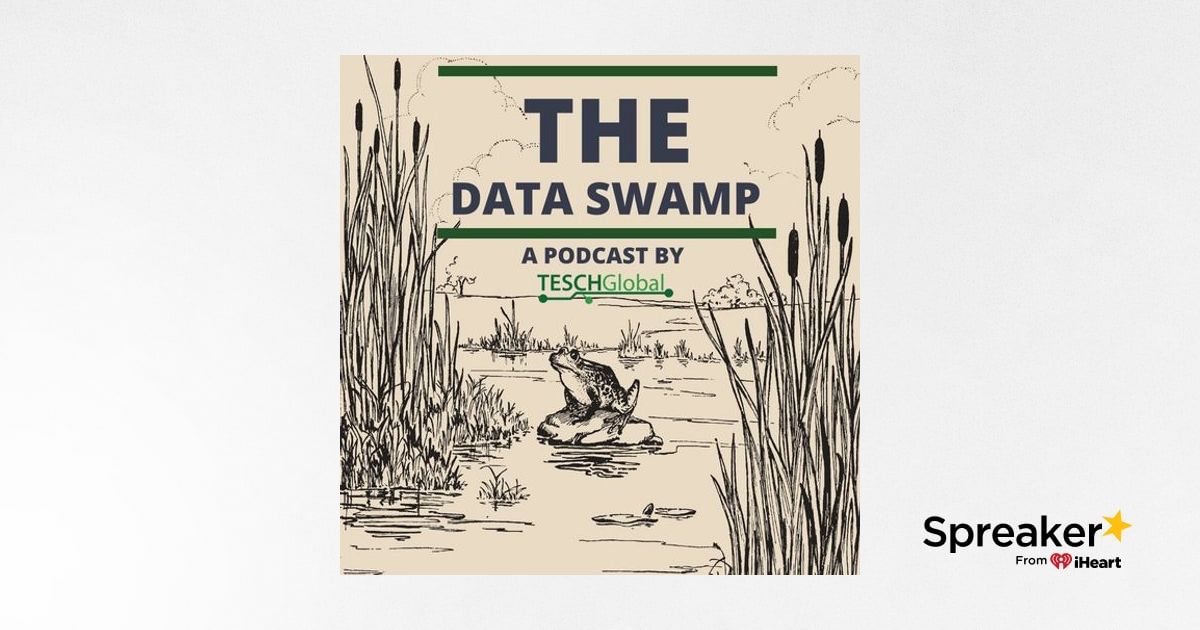The Data Swamp