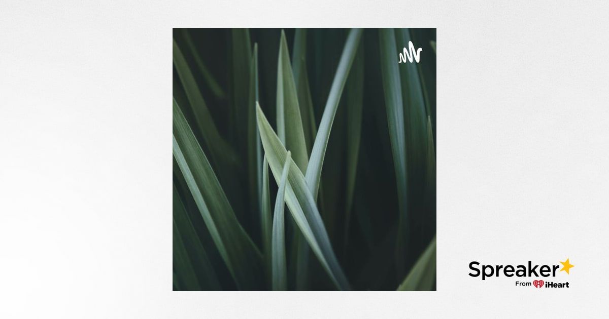 1041.藻类究竟算植物吗？