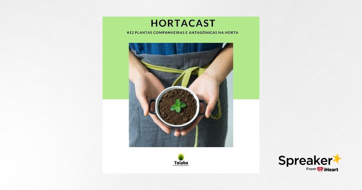 #12 - Plantas Companheiras E Antagônicas