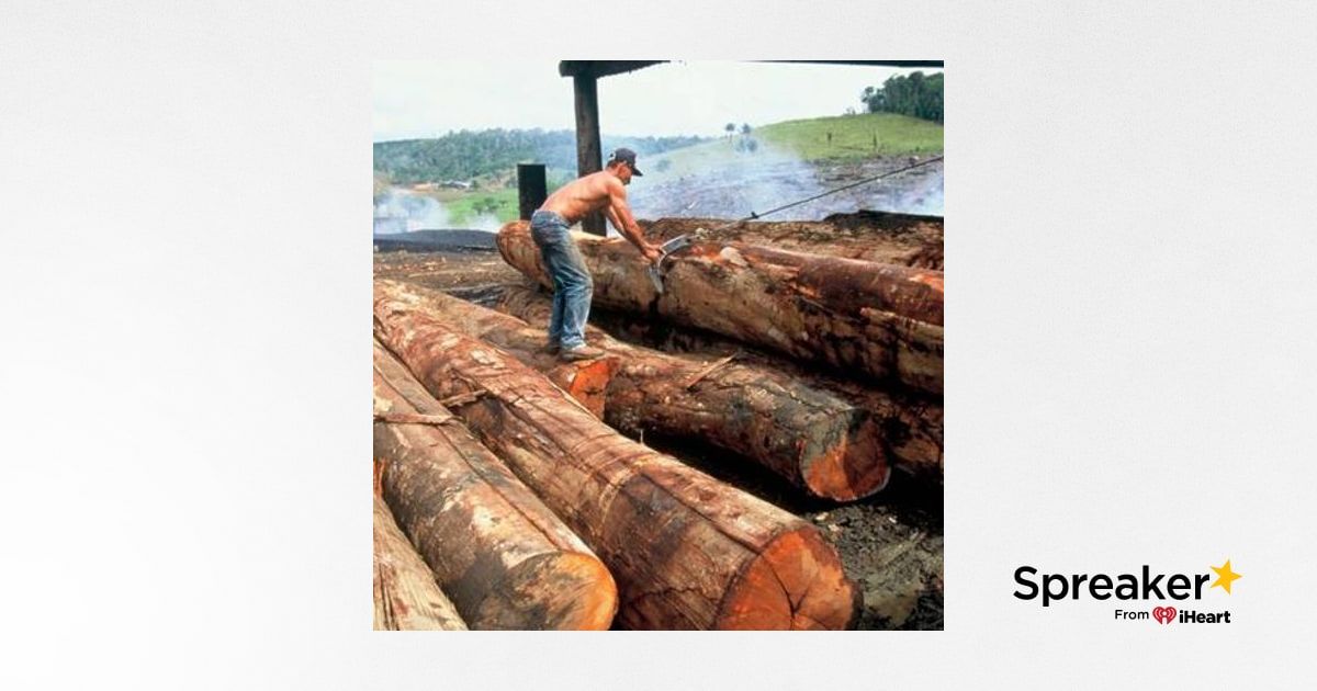 Explotación de Madera en Brasil