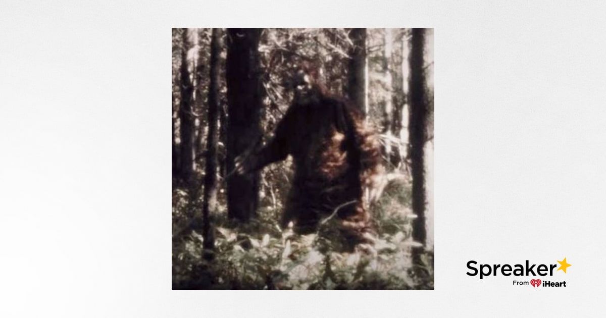 Bigfoot Sighting in Colorado With Ron Boles | Conspiracy Podcasts
