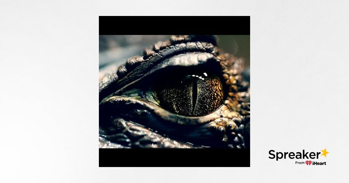 095. 3 True TERRIFYING Animal Encounters Horror Stories