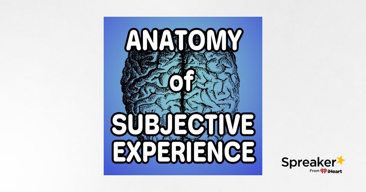 Anatomy of Subjective Experience