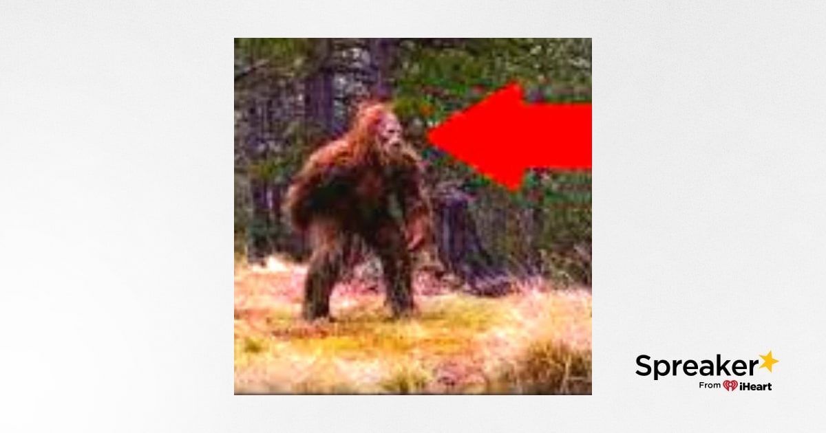 When we captured a Bigfoot