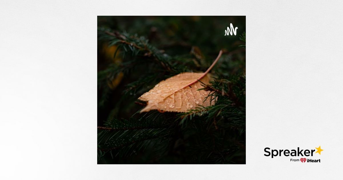 229.余生很长，别慌张，别失望